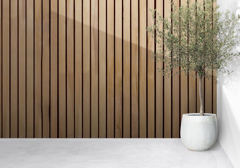 Petiribi — MAXIPISO