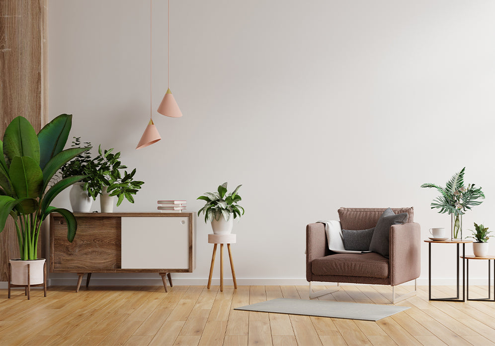 Petiribi — MAXIPISO