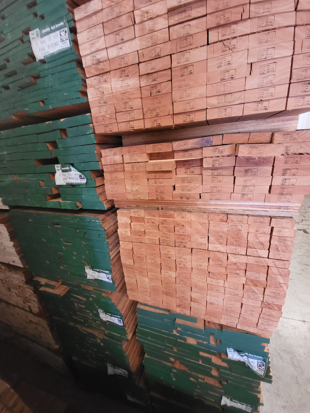 Eucaliptus — MAXIPISO