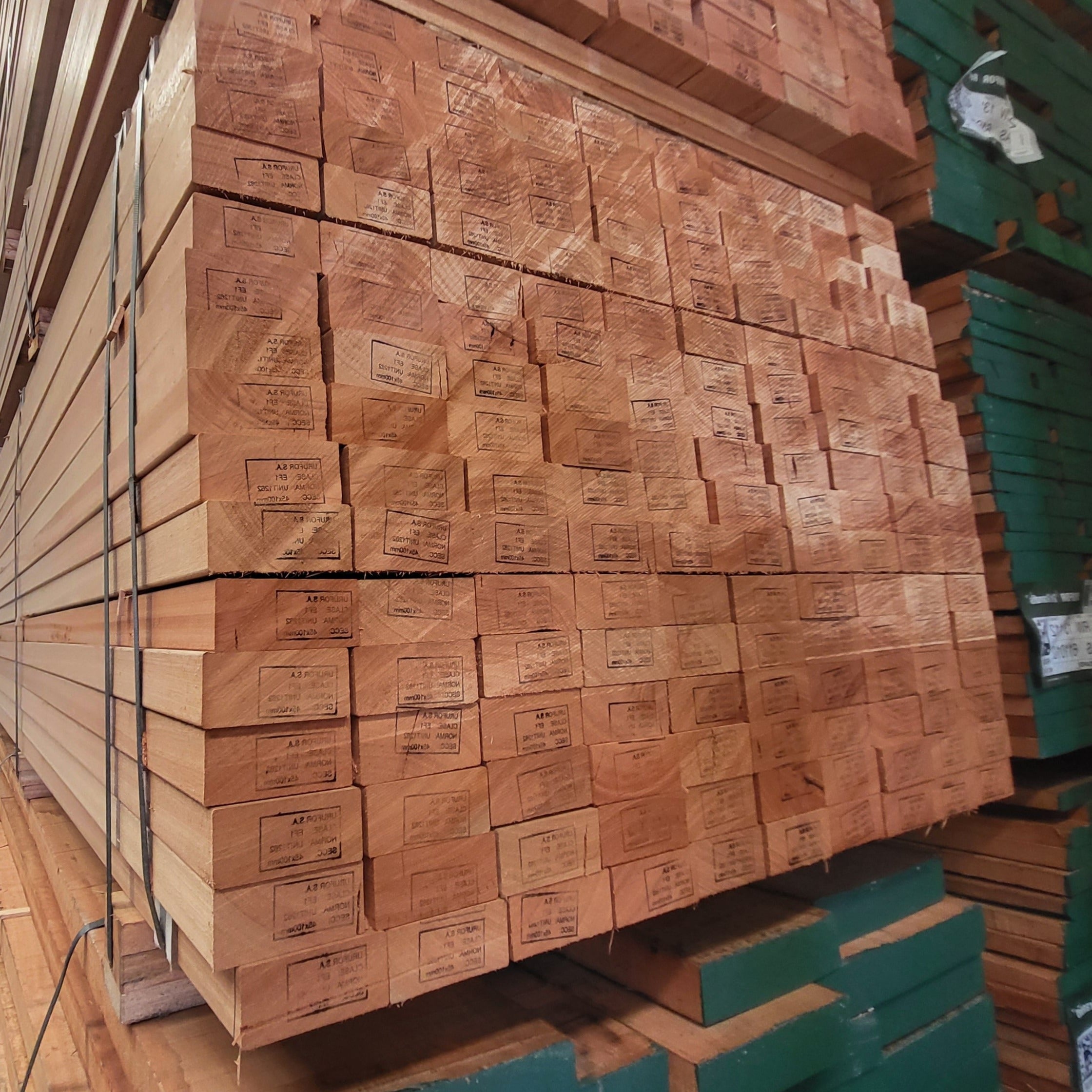 Eucaliptus — MAXIPISO