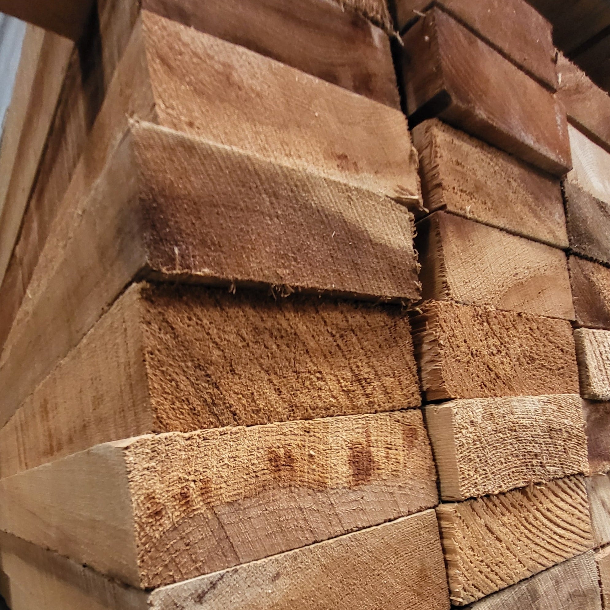 Pino Hemlock — MAXIPISO